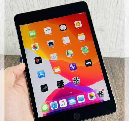 iPad mini 5