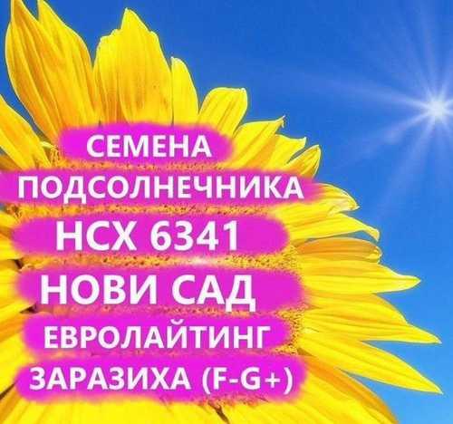 Семена подсолнечника нсх 6341 Гибрид нс, Самара