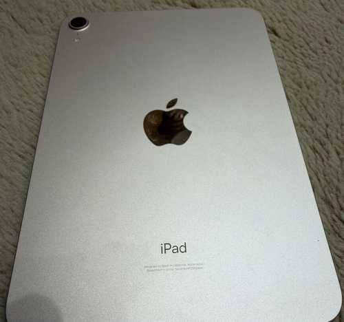 iPad mini 6