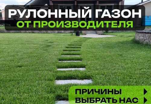 Рулонный газон Спорт. От производителя