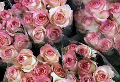 Розы букеты из роз