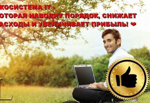 IT платформа для бизнеса. Арт. r-5826