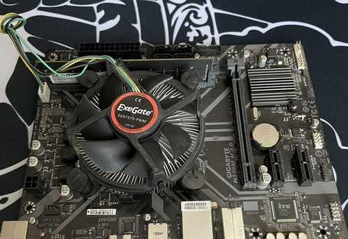 Комплект материнская плата Gigabyte h310m h2.0