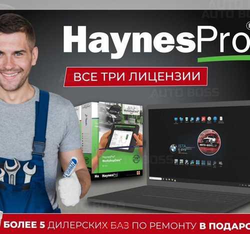 Электросхемы HaynesPro online   autodata v2024