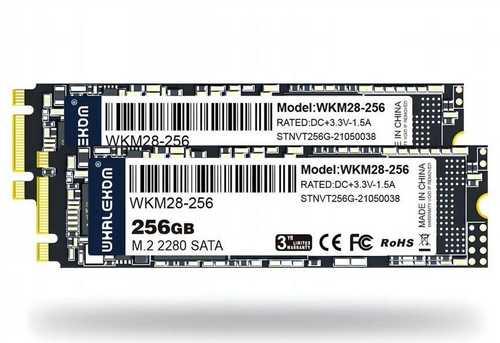 SSD Whalekom WKM28 – M.2 SATA 2280 SSD – 256GB