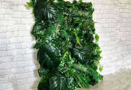 Фитопанели декоративные из растений стеновые