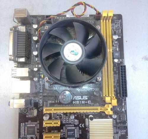 Asus H81M-C   G3250