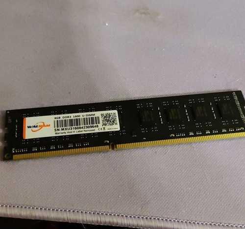 Оперативная память ddr3 8 gb 1600 udimm