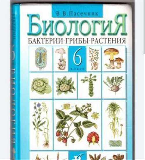 Пасечник 2023. Биология 6 класс. Бактерии, грибы, растения. Пасечник. Биология. 6 Класс. Учебник. Пасечник биология 6 класс учебник бактерии грибы растения. Учебник по биологии 6 класс.