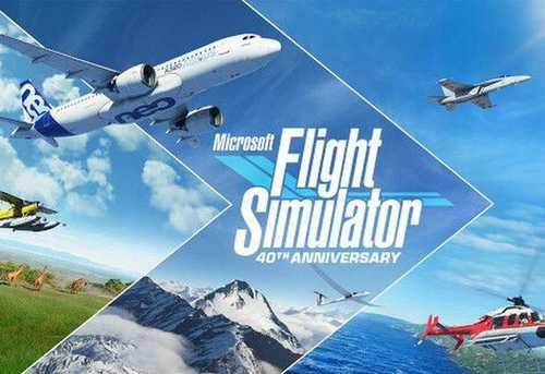 Microsoft flight simulator