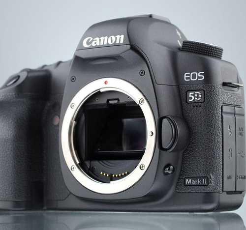 Canon EOS 5D Mark II Body (id-11241522)