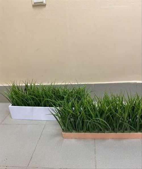 Искусственная трава Осока в кафе в офис