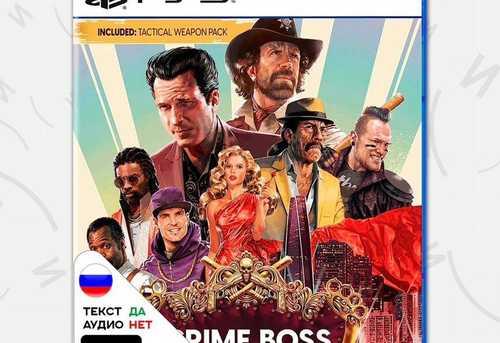 Crime Boss: Rocaky City PS5, русские субтитры