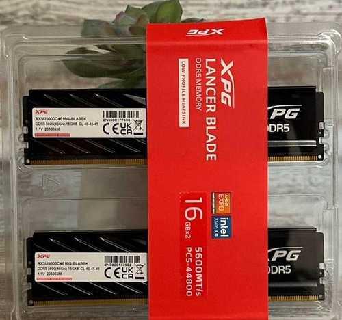 Оперативная память XPG Lancer 32GB 5600MHZ DDR5