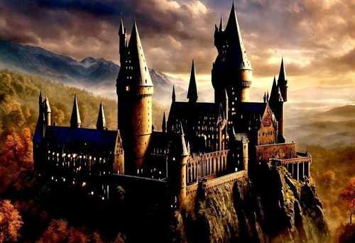 Hogwarts Legacy на PS4/рs5