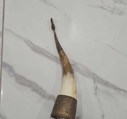 Рог