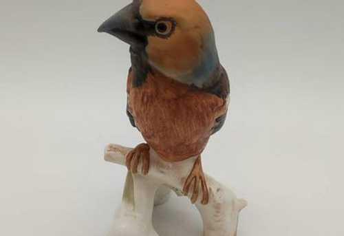 Дубонос фарфоровая статуэтка фигура фарфор птица G