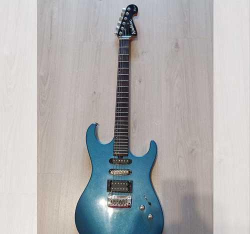 Washburn X-20