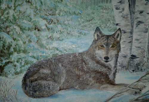 Авторская картина маслом "Волчица"