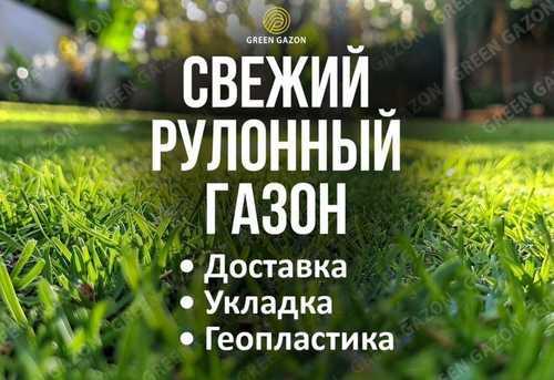 Газон в рулонах с доставкой и укладкой