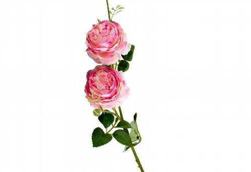 Пионовидная кустовая роза - розовая, на праздник
