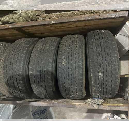 Отдам бесплатно