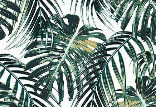 Фотообои пальмовые листья
