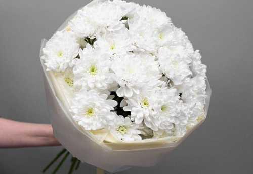 Хризантема Балтика,Бакарди(кустовая)цветы букет