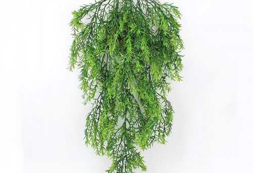 Ампельное растение - Аспарагус свисающий, искусств