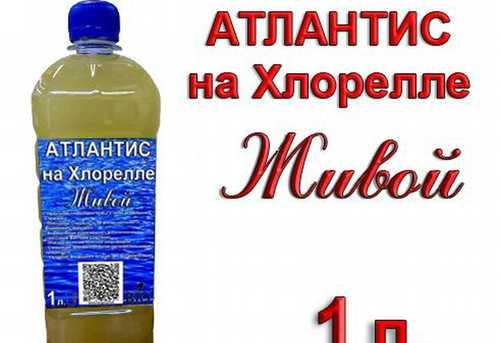 Атлантис на Хлорелле (Pseudomonas, Bacillus)