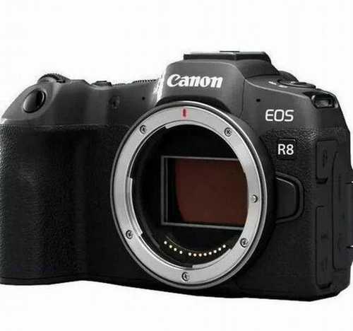 Canon eos R8 body