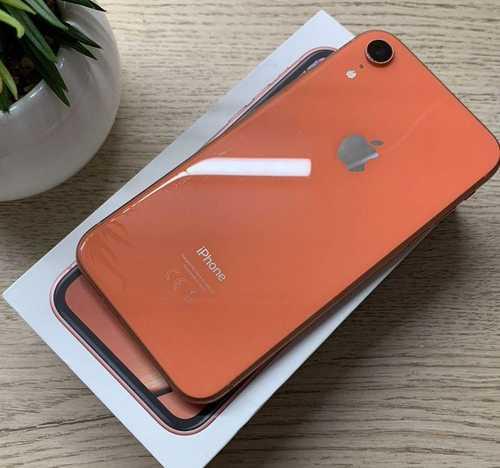 iPhone Xr, 128 ГБ