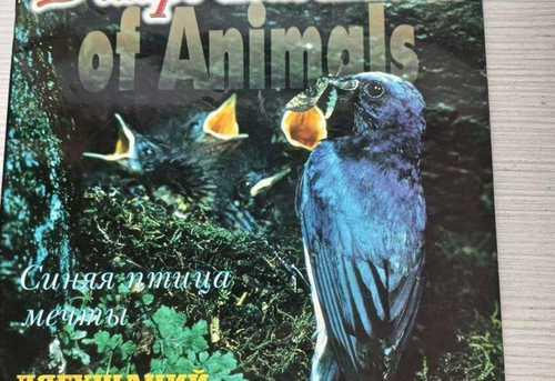 Журнал В мире животных 5 за 1998 г
