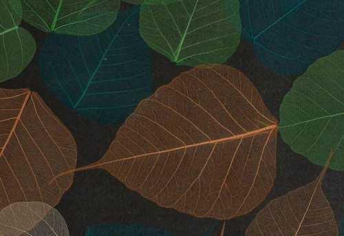 Натуральные обои Cosca Листья Прима Верде 0.91 x 1