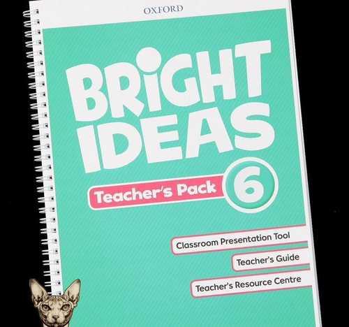 Bright ideas 6. Teachers guide
