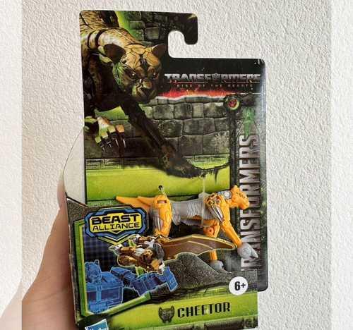 Transformers hasbro rise of the beasts