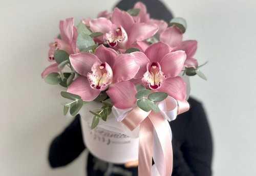 Коробка с орхидеями и эвкалиптом. Букет 1102