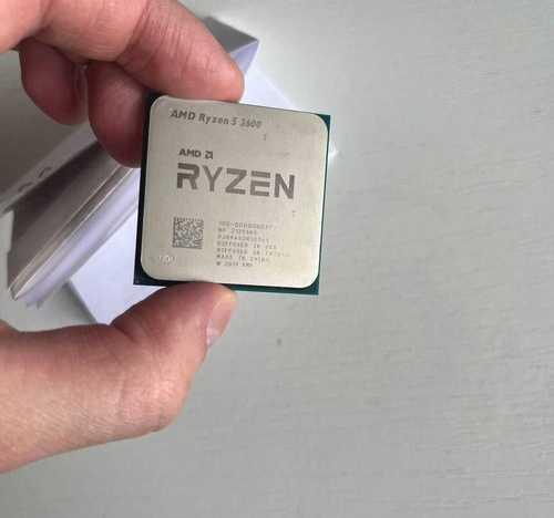 AMD Ryzen 5 3600