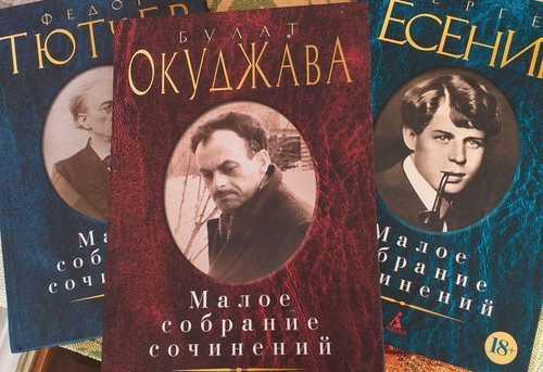 Книги из серии Малое собр соч