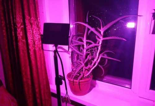 Фитопрожектор на штативе для растений