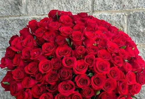 Цветы Розы Букет Доставка 101 роза 51 роза 35 21