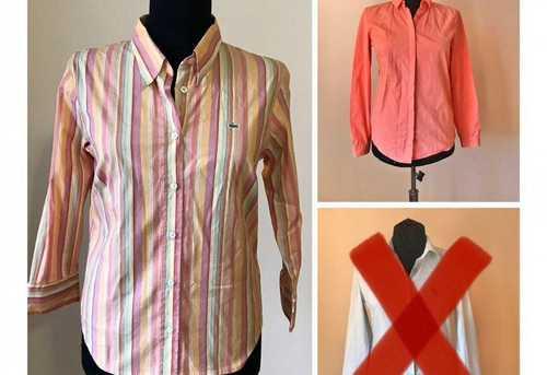 Рубашки Calvin Klein, Lacoste, US Polo