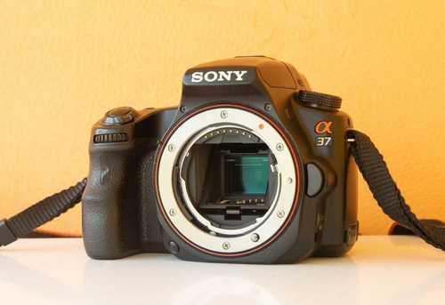 Зеркальный фотоаппарат Sony Alpha a37 (body)