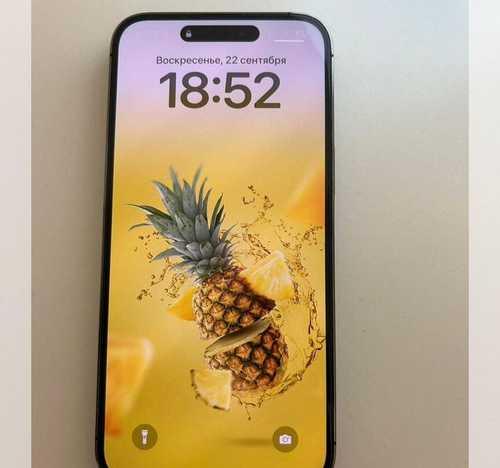 iPhone 14 Pro Max, 256 ГБ