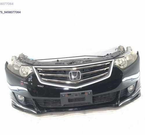 Ноускат Honda Accord 8 (Арт.23546)