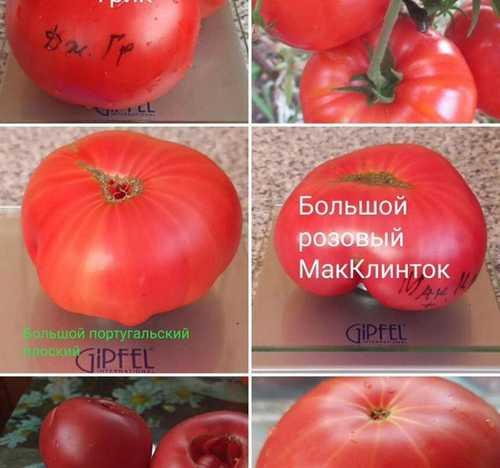 Наборы семян крупноплодных томатов