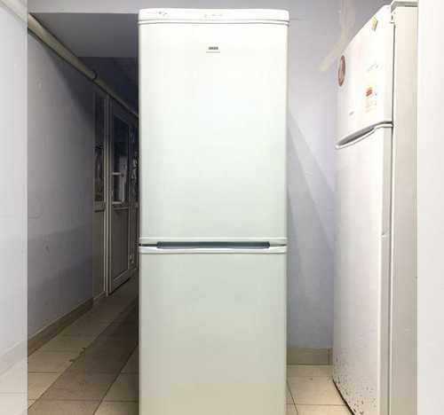 Холодильник Zanussi 170x60x60 Доставка. Гарантия