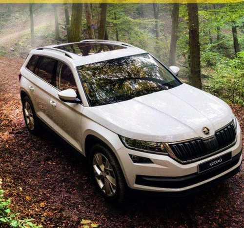 Доводчики дверей Skoda Kodiaq 2017-н.в