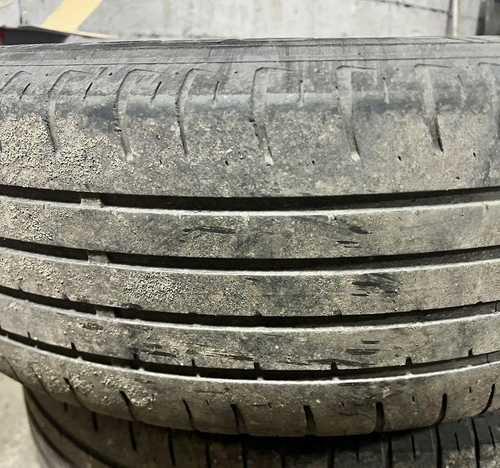 Maxxis Premitra HP5 205/60 R16