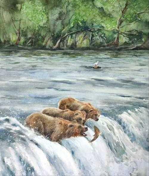 Картина медведи на рыбалке 30х40 водопад рыбаки